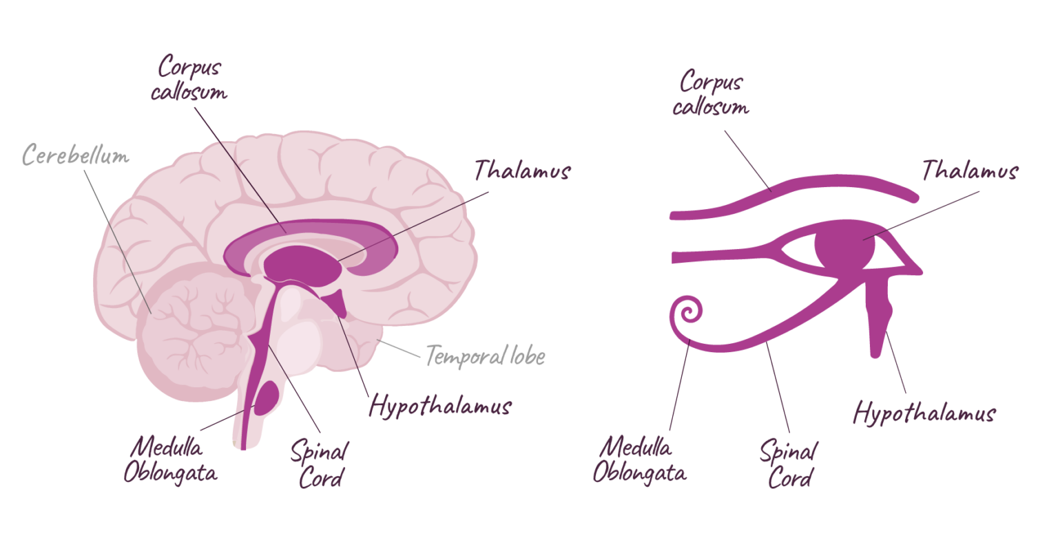 The Eye of Horus | Spiritual Definitions | Mastering Alchemy The Eye of Horus | Spiritual Definitions | Mastering Alchemy